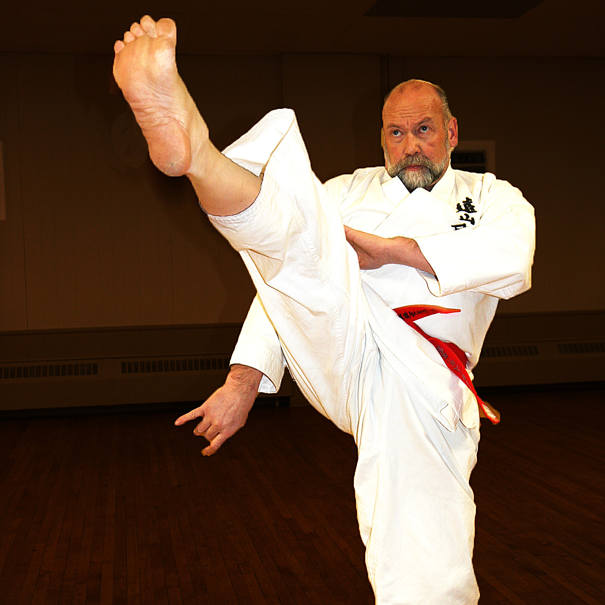 Bob Hollinger – Self Defense Expert – 8th Degree Black Belt